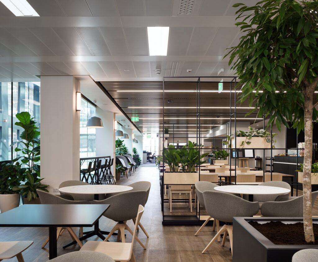 IPUT 3DL Commercial Project - Bushell Interiors